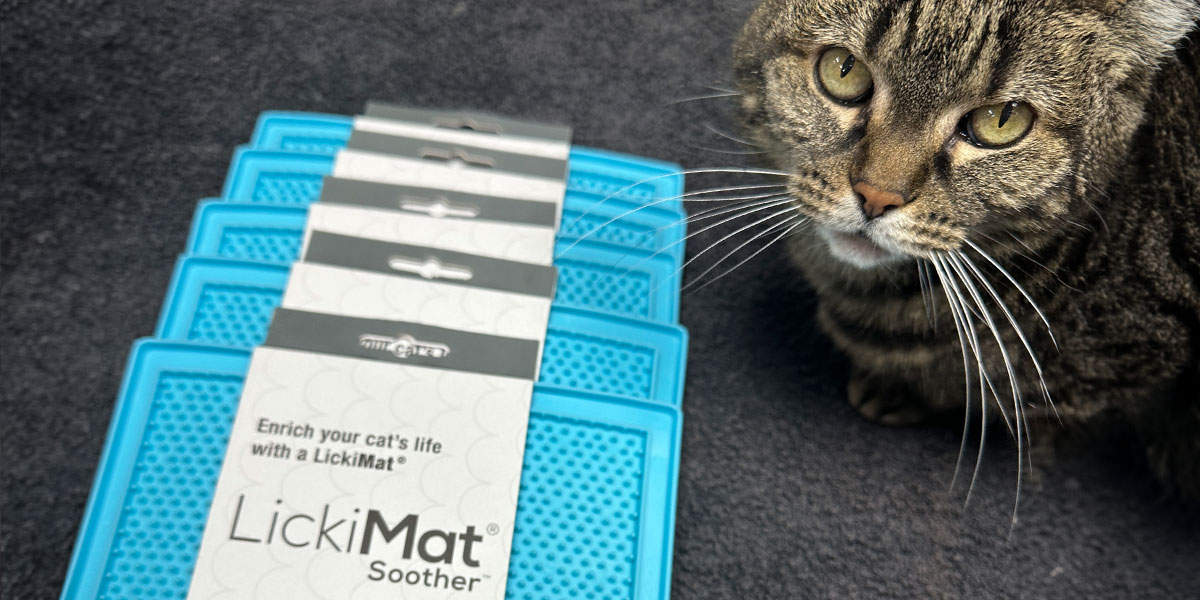 Food puzzles for cats - Magill Village Vet