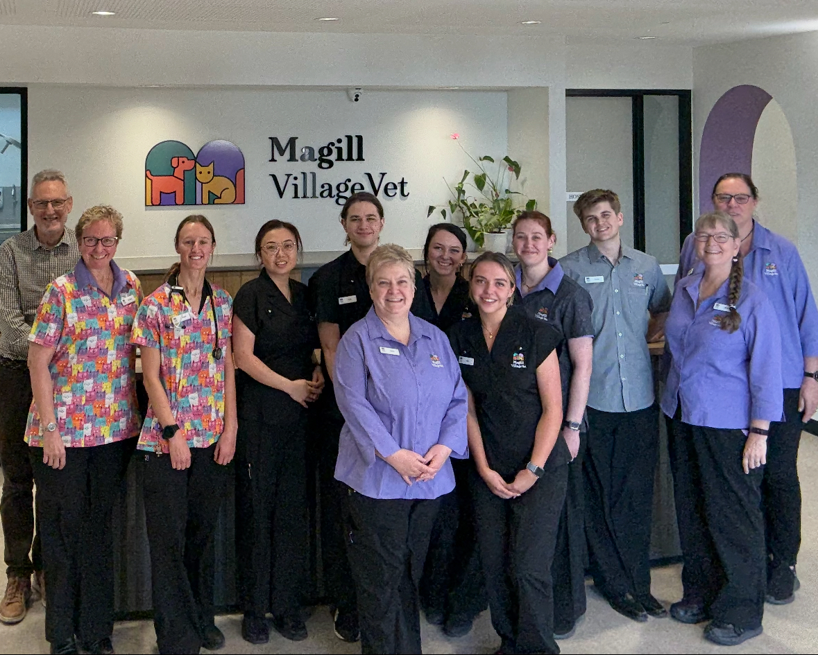 Magill Village Vet Welcomes You - Magill Village Vet